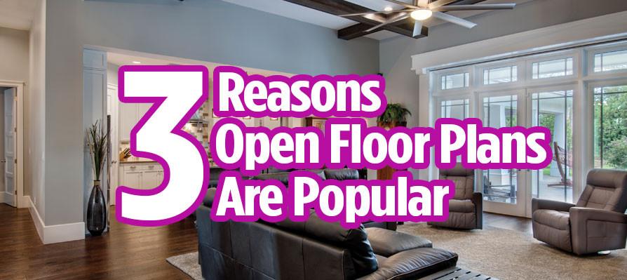 3 Reasons Open Floor Plans Are Popular | Sater Design Collection